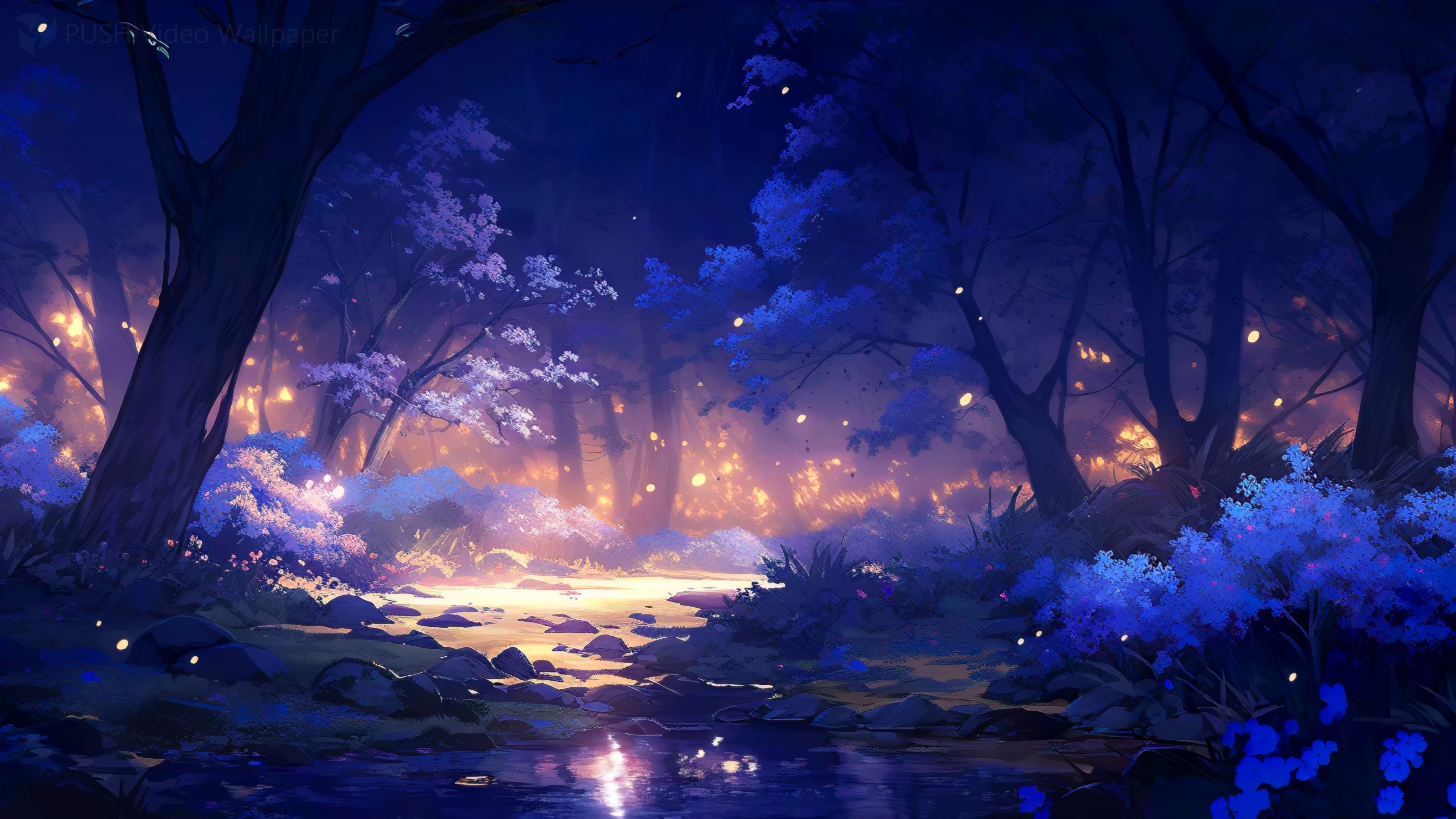 Video Wallpaper for Windows